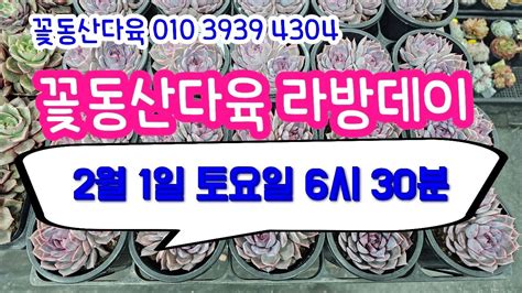 2521🌸꽃동산다육 라방데이 예쁜신상과 라방특가~놀러오세요 💕꽃동산다육 010 3939 4304 유료광고포함 Youtube