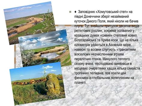 Донецька область Ppt