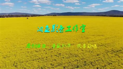 张学友 忘情冷雨夜伴奏和声高清1080p在线观看平台腾讯视频