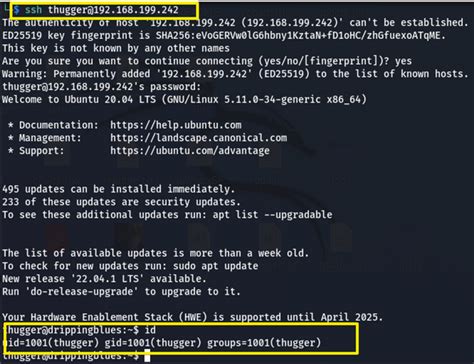 Vulnhub Dripping Blues