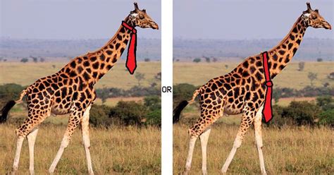 What Is The Giraffe Tie Meme POPSUGAR Tech