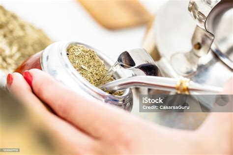 여자 보유 아름다운 칼라바시 박 와 봄비야 막대기 과 물 에서 실버 주전자 스톡 사진 가지 식물 부위에 대한 스톡 사진 및 기타