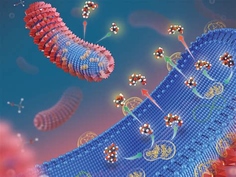 水溶性上转换nayf4 Yb Er，水溶性核壳上转换纳米粒子980nm激发 808激发 Udp糖丨mof丨金属有机框架丨聚集诱导发光丨荧光标记推荐西安齐岳生物