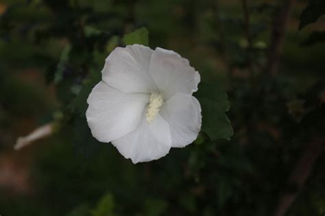 팝콘플래닛 기사콘