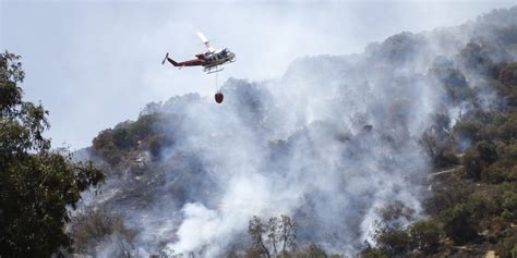 Más De 1000 Hectáreas Afectadas Por Incendios Forestales