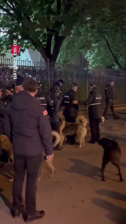 ძაღლები შს სამინისტროსთან აქციაზე არა რუსულ კანონს Youtube