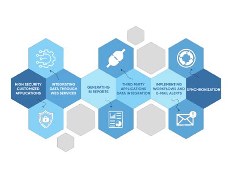 Application Extensions And Customizations Nalsoft