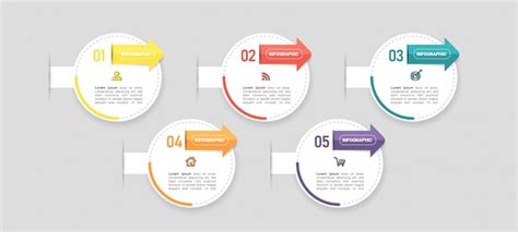 Premium Vector Infographic Template Options