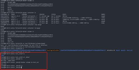 Docker 使用基础（4）—存储卷docker Tmpfs Csdn博客
