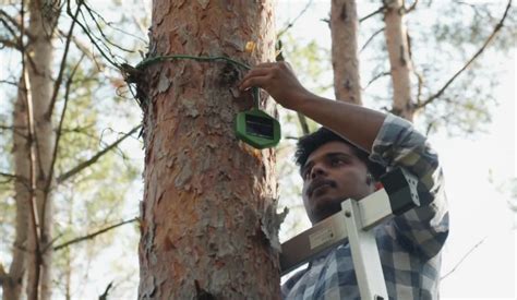 Solar Powered Sensors For Wildfire Detection Pv Magazine Usa