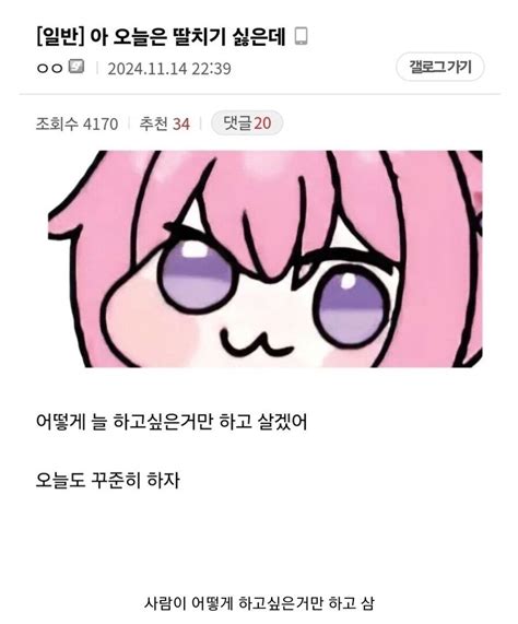 딸치기 싫어도 치는 이유 유머 움짤 이슈 에펨코리아