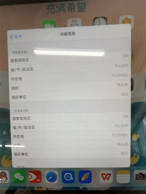 iPad上经常弹出 无法验证服务器身份的弹窗 Apple 社区