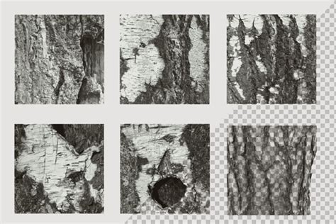 Tree Bark Texture Brushes For Photoshop ProCreate ABR By Svetlana TheHungryJPEG