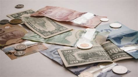 The Top Free Forex Trading Bots For Beginners Forex Academy