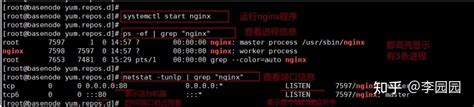 linux学习笔记（十三）：在linux上运行一个网站 知乎