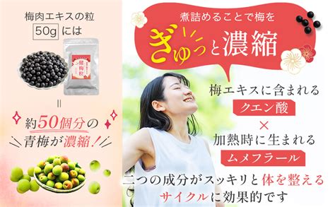 Jp 梅肉エキス 梅エキス 梅肉エキス粒 健梅粒 塩分不使用 和歌山県産 飲みやすい粒タイプ サプリメント 約200粒
