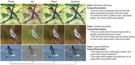 [eccv 2022] Grounding Visual Representations With Texts For Domain Generalization Lg Ai