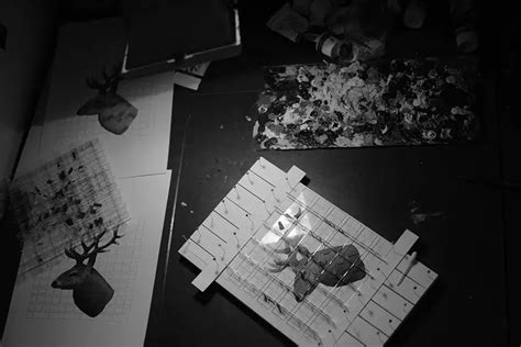 Emergence Lab