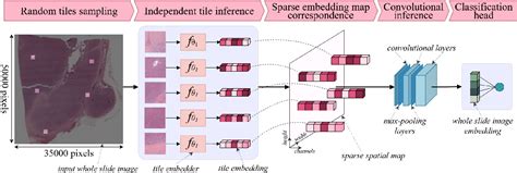 Figure 1 From Sparseconvmil Sparse Convolutional Context Aware Multiple Instance Learning For