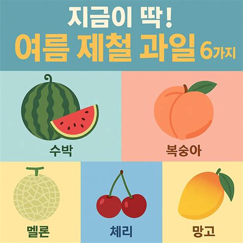 🍉 여름 제철 과일 추천 And 건강 효과