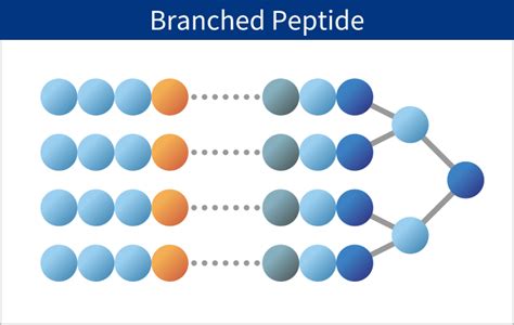 Peptide Api Development And Manufacturing Peptistar Inc