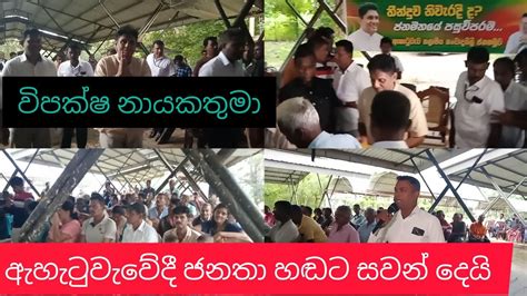 අලි රිලව් මොනරු වඳුරො මදිවට දැන් බල්ලොත් ප්‍රශ්නයක් වෙලා News 😍 Youtube