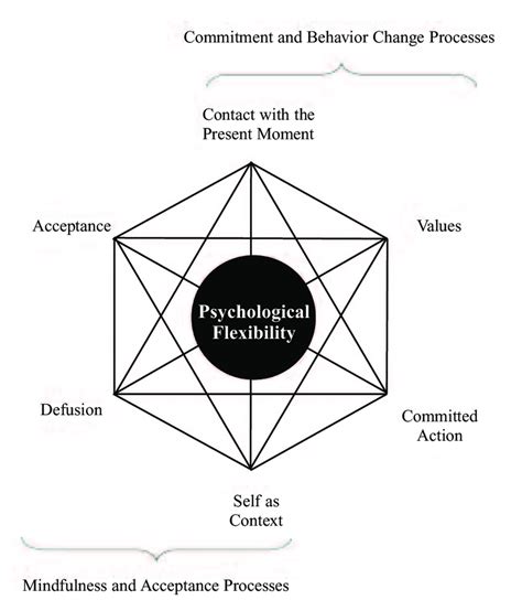 The Proposed Six Core Act Processes And Their Relationship To