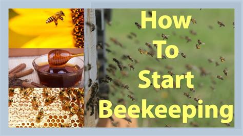 Beekeeping Process