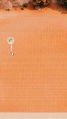 Case The Sims4
