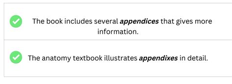 Whats The Plural Of Appendix Appendixes Or Appendices — Grammarflex