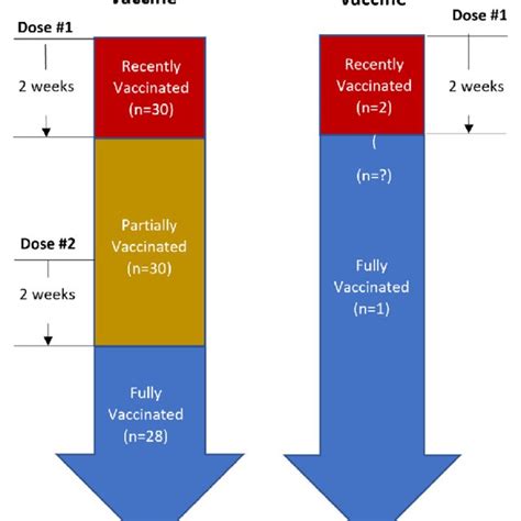 Diagram Showing Classification Of Persons As Recently Partially Or Download Scientific