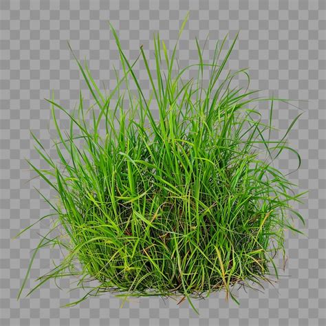 Page 2 Very Basic Grass Texture Psd High Quality Free Psd Templates