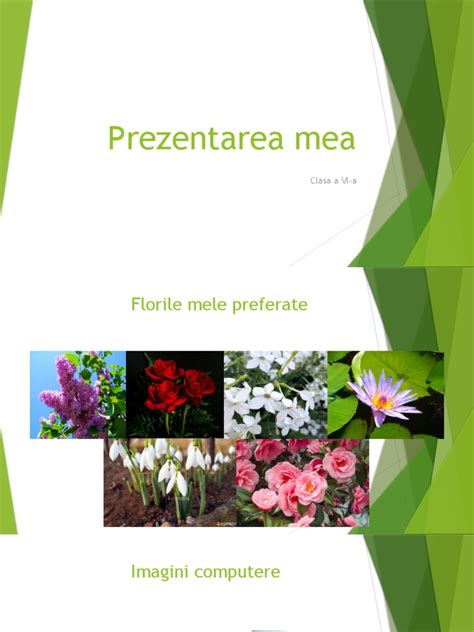 Proiect Powerpoint Pdf