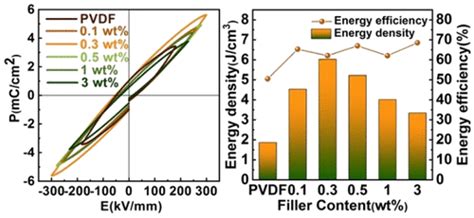 Effect Of Agnbo3 Morphology On Dielectric And Energy Storage Properties Of Polyvinylidene