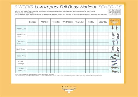 Full Body Workout Routine Chart