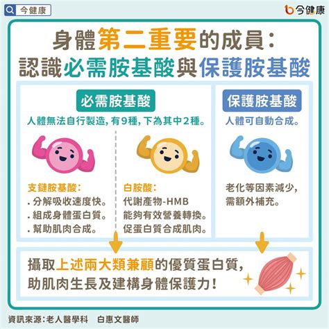 今健康 【壯世代看過來！優質蛋白質＋運動缺一不可！】 足夠的肌肉量是讓人能夠自由活動、常保健康的重要關鍵， 對於壯世代來說， 更是開啟