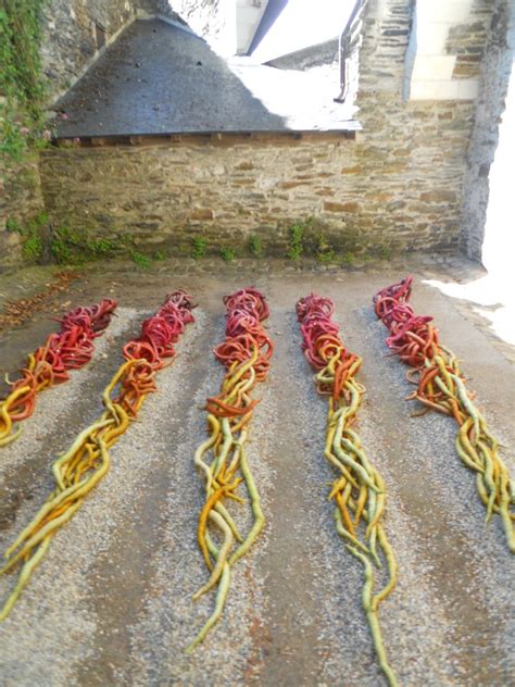 Anjou Lumières Le textile est dans le jardin Musée Jean Lurçat
