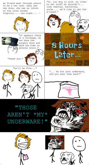 Funny Vet Tech Quotes Quotesgram