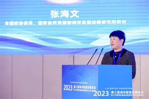 自然资源部海洋发展战略研究所所长张海文：全球海洋治理深刻影响海洋经济发展能源中国方面