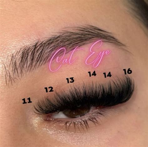 Pin By Ashley Walker On Lash Mapping Lashes Fake Eyelashes Lashes