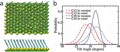 A Top Above And Side Below Views Of The C12 Sam Hydrocarbon