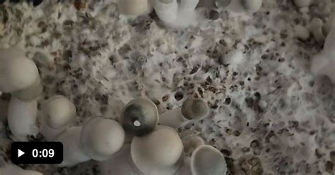 I Was Sent This Video To A Friend I Realized Afterward That The Matrix Sound FX Worked