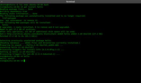 Install LXD On Linux Snap Store