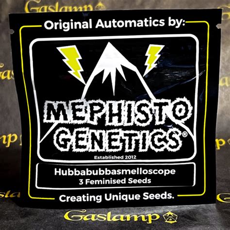 Mephisto Genetics Hubbabubbasmelloscope 3 Feminized Autoflower