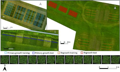 Field Plots Used As Training And Testing Data And Rgb Image Patches Download Scientific Diagram Field Plots Used As Training And Testing Data And Rgb Image Patches Download Scientific Diagram
