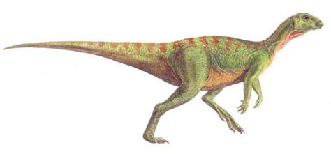 Hypsilophodon Dinopedia Fandom
