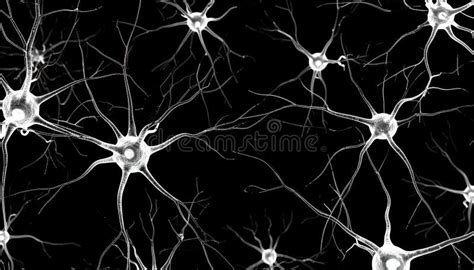 Microscopic View Of Complex Neural Network Stock Illustration Illustration Of Medical