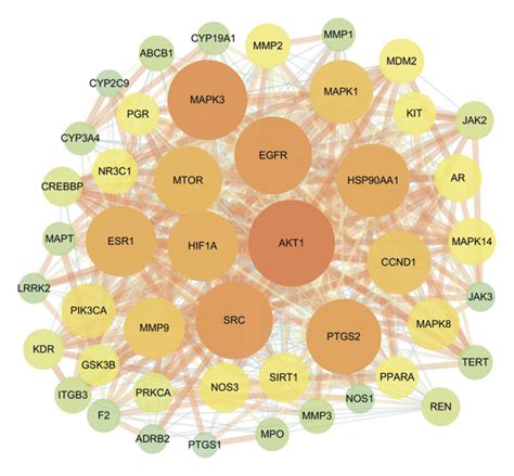 The Protein Protein Interaction Network Of The Crucial Gene Clusters