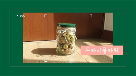 Vlog 전자레인지로 손쉽게 드라이플라워 만들어봐요 💐 드라이플라워 병에 보관하기 Youtube