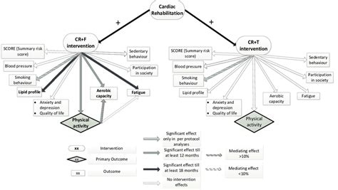 Schematic Representation Of The Outcomes Of The Opticare Randomized